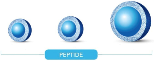 LC-kolonner Preparativa AMT HALO BioClass